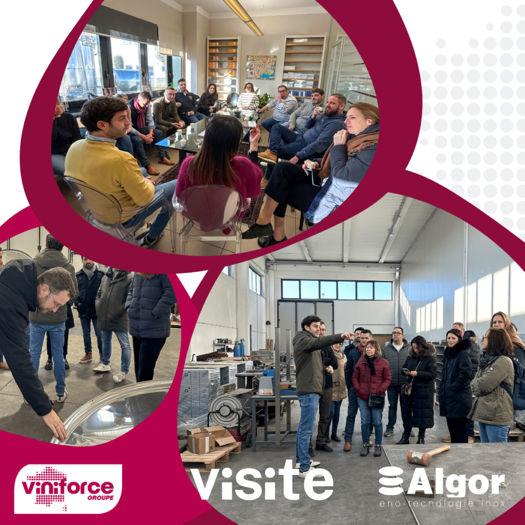 Innovation et tradition Made in Italy - Viniforce